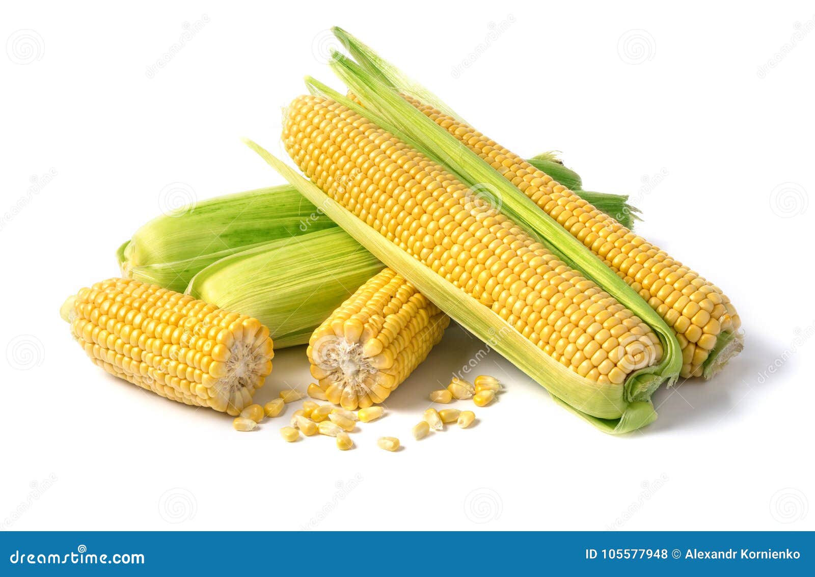 Corn on white background stock photo. Image of agriculture - 105577948