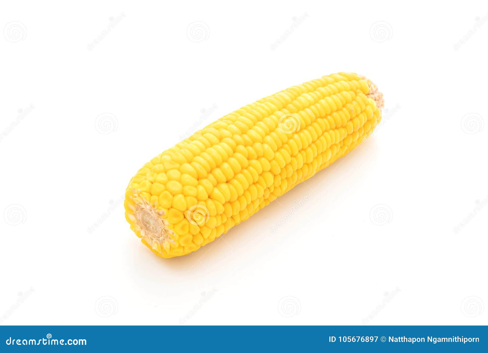 Corn on white background stock image. Image of white - 105676897
