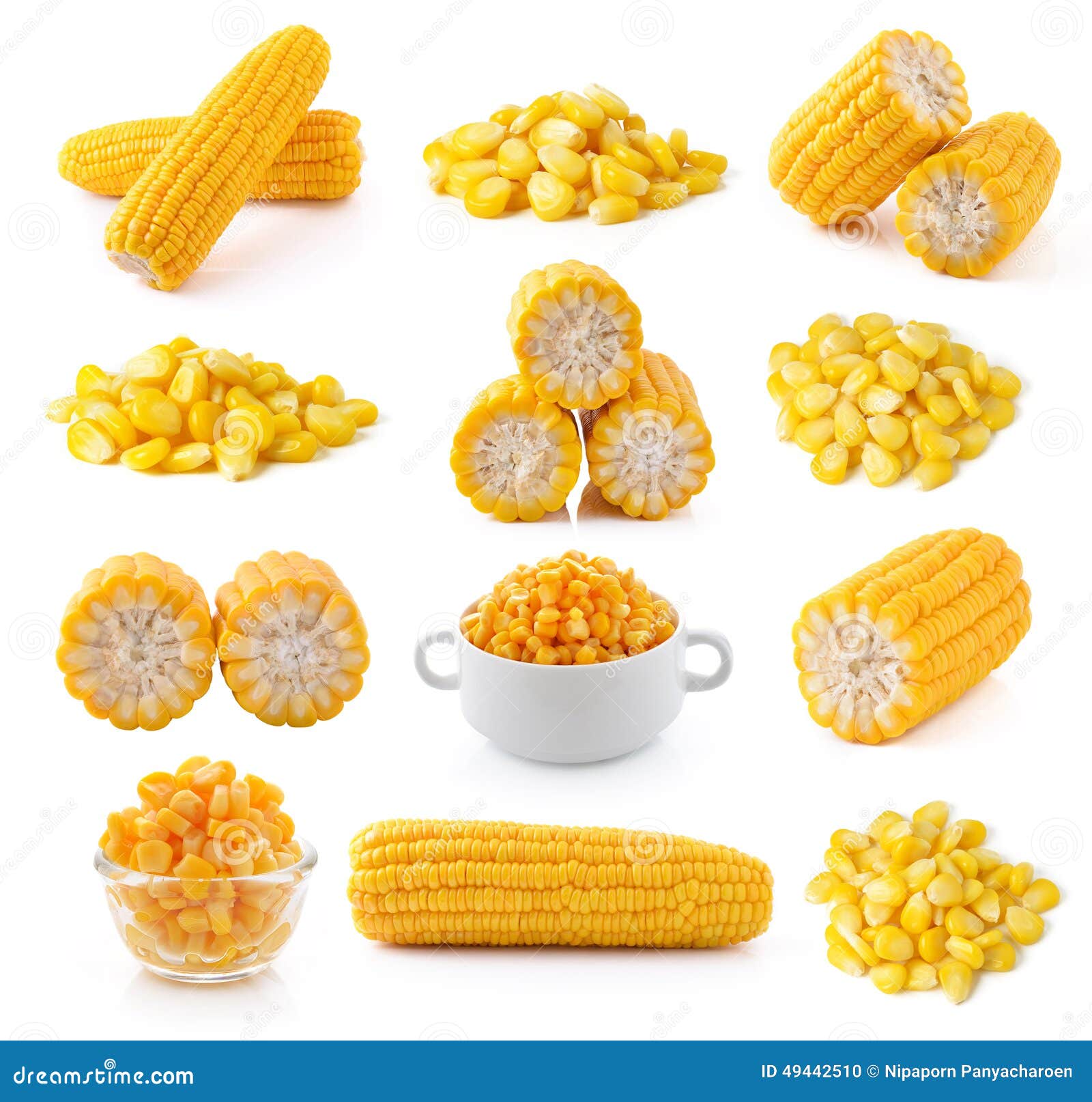 Corn on white background stock photo. Image of healthy - 49442510