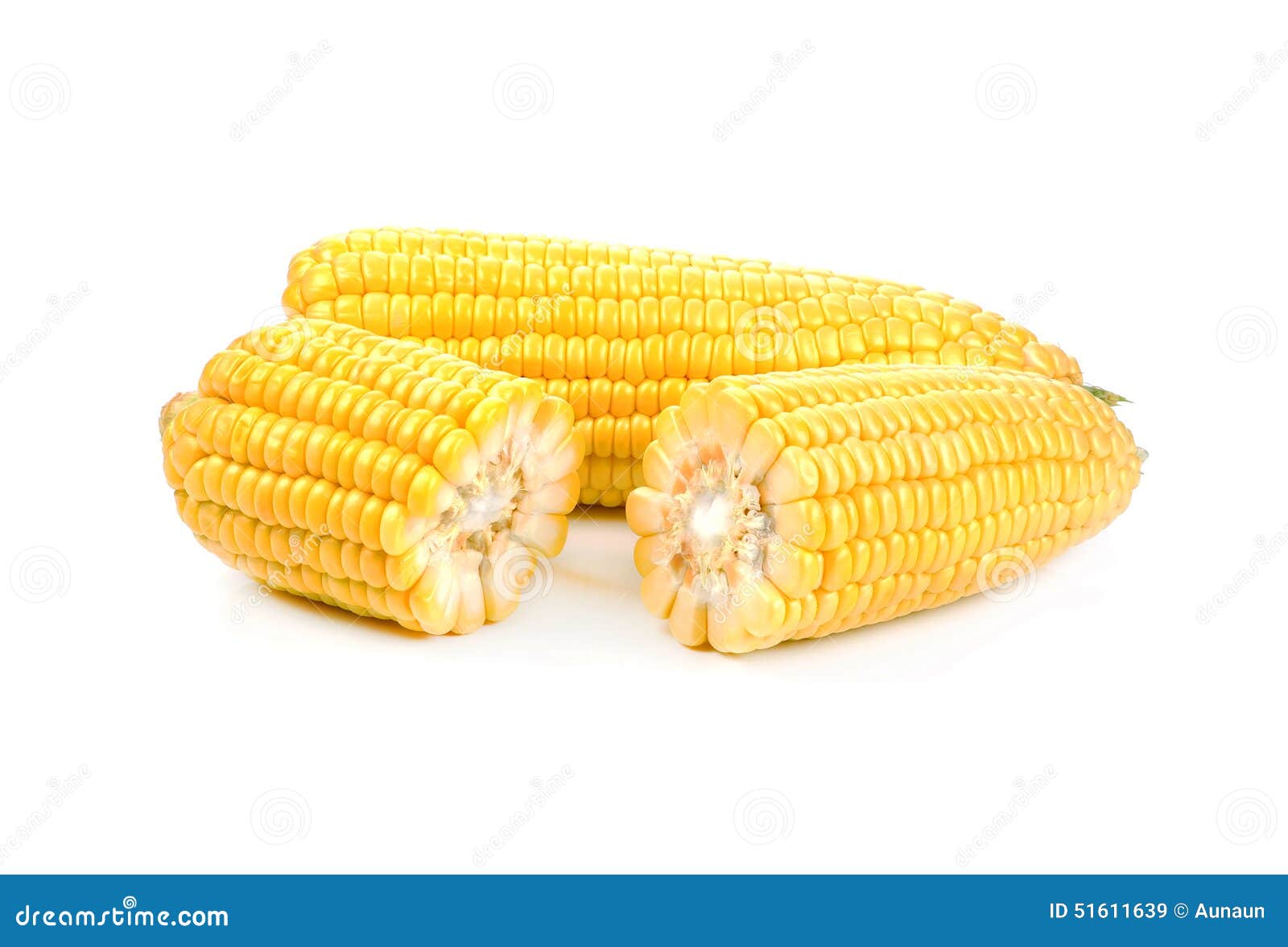 Corn on a white background stock image. Image of food - 51611639