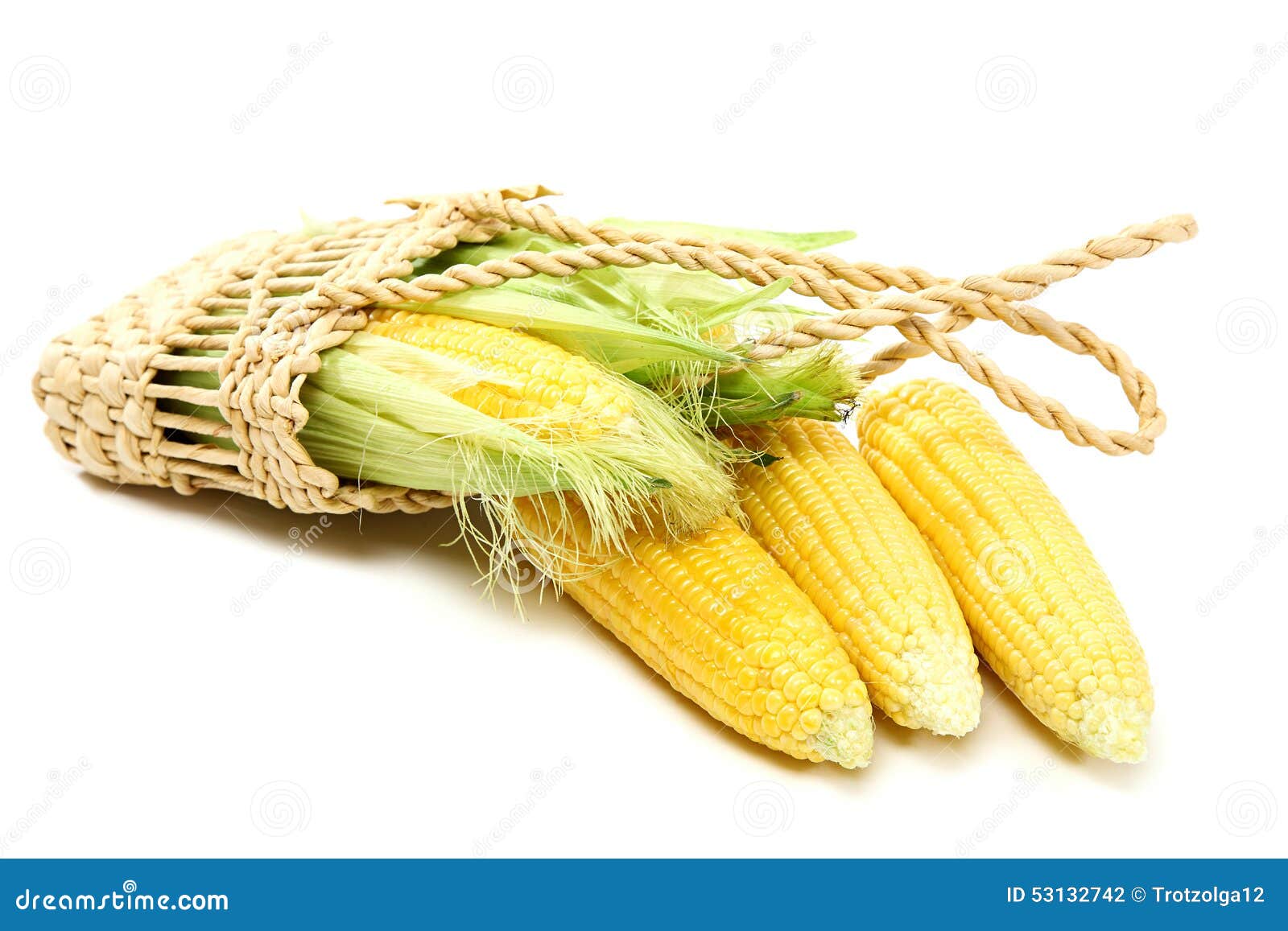 Corn on a White Background. Stock Photo - Image of organic, husk: 53132742