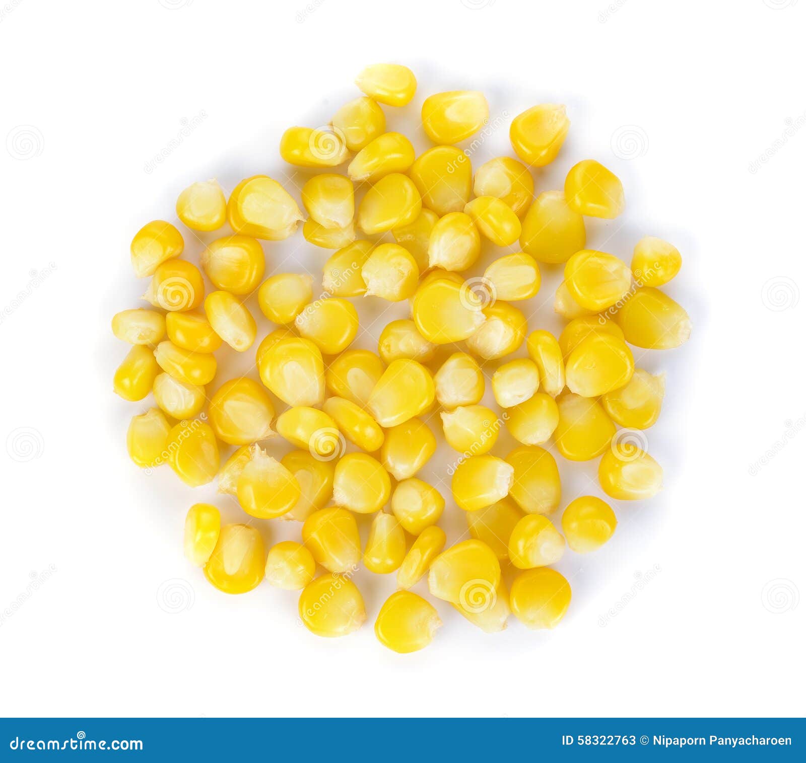 Corn on white background stock image. Image of detail - 58322763