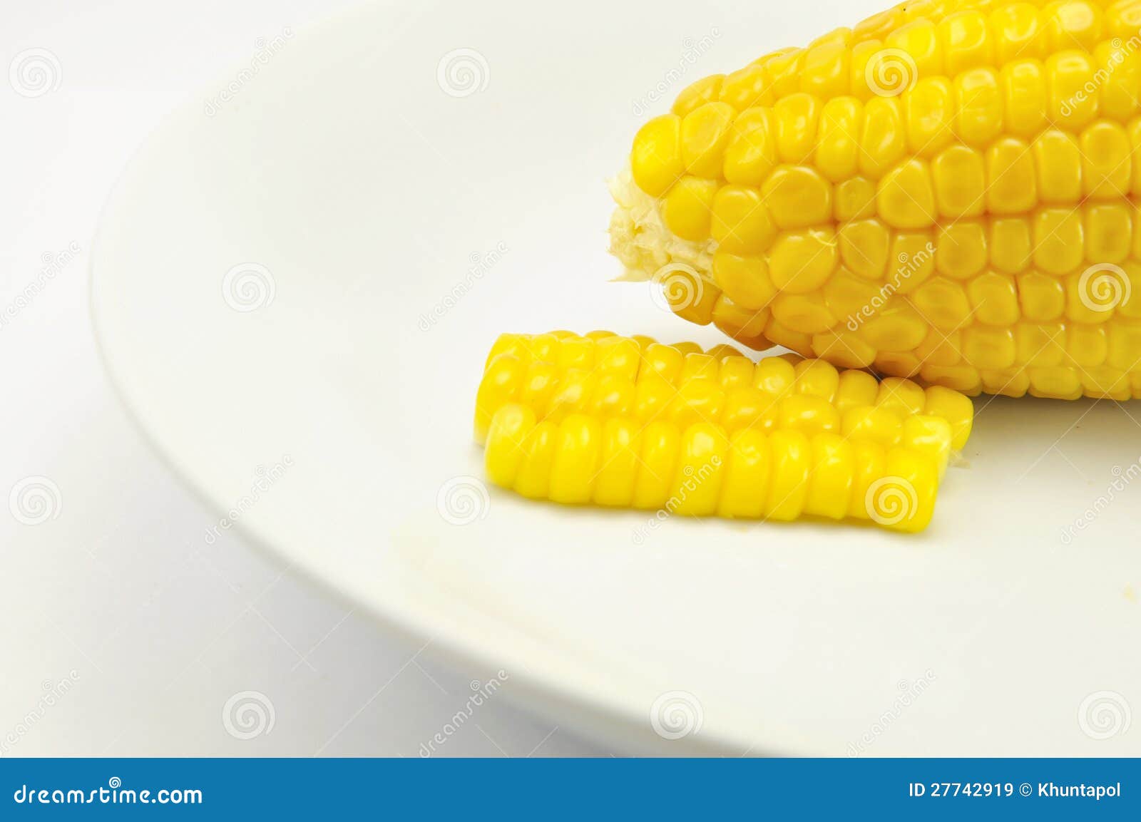 Corn on white plate stock image. Image of sweet, corn - 27742919