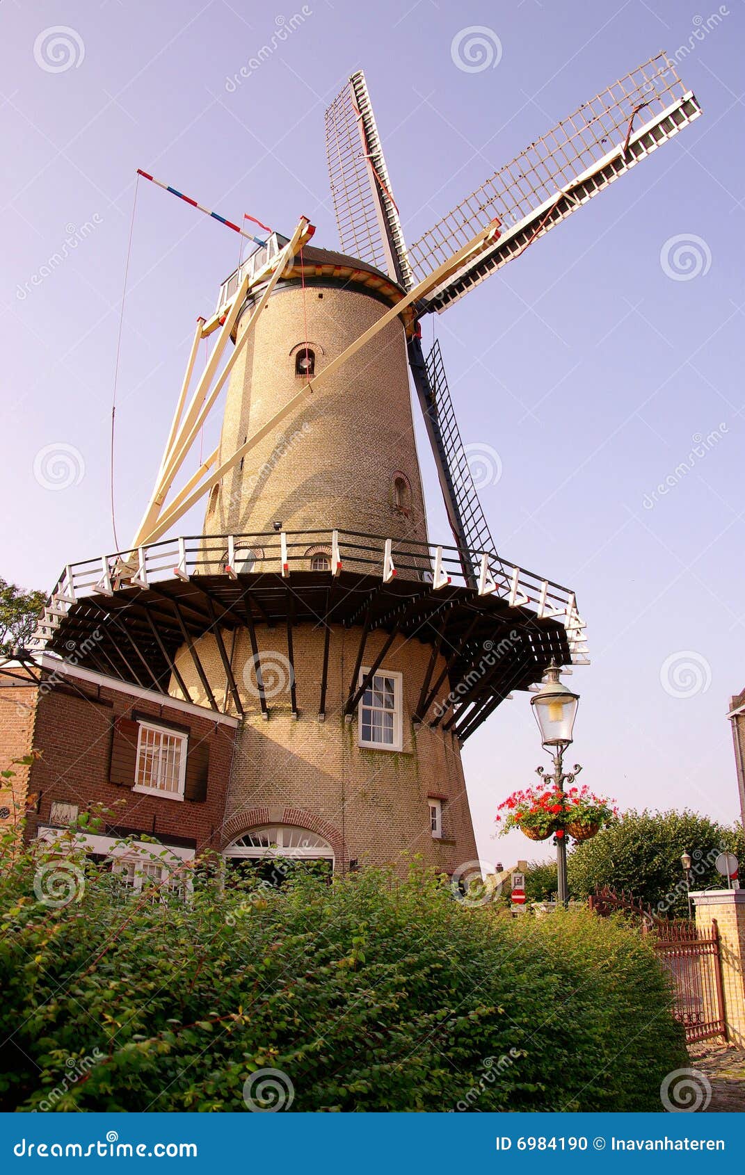 Corn wind mill stock photo. Image of corn, brabant, protection - 6984190