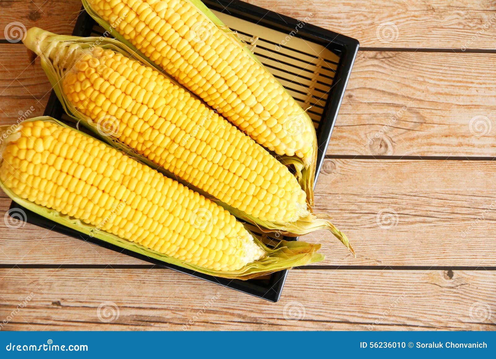 Corn on wood stock photo. Image of eating, copy, space - 56236010