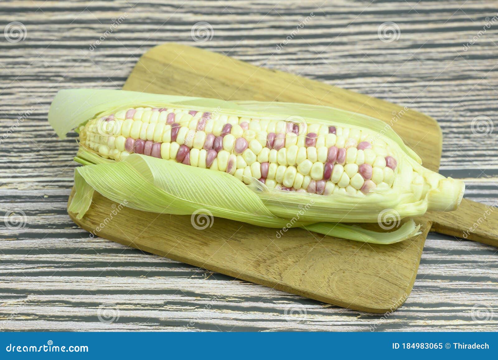 Corn on the wood floor stock image. Image of harvest - 184983065