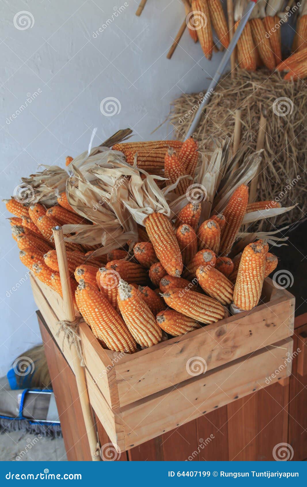 Corn in wooden crate stock image. Image of freshness - 64407199
