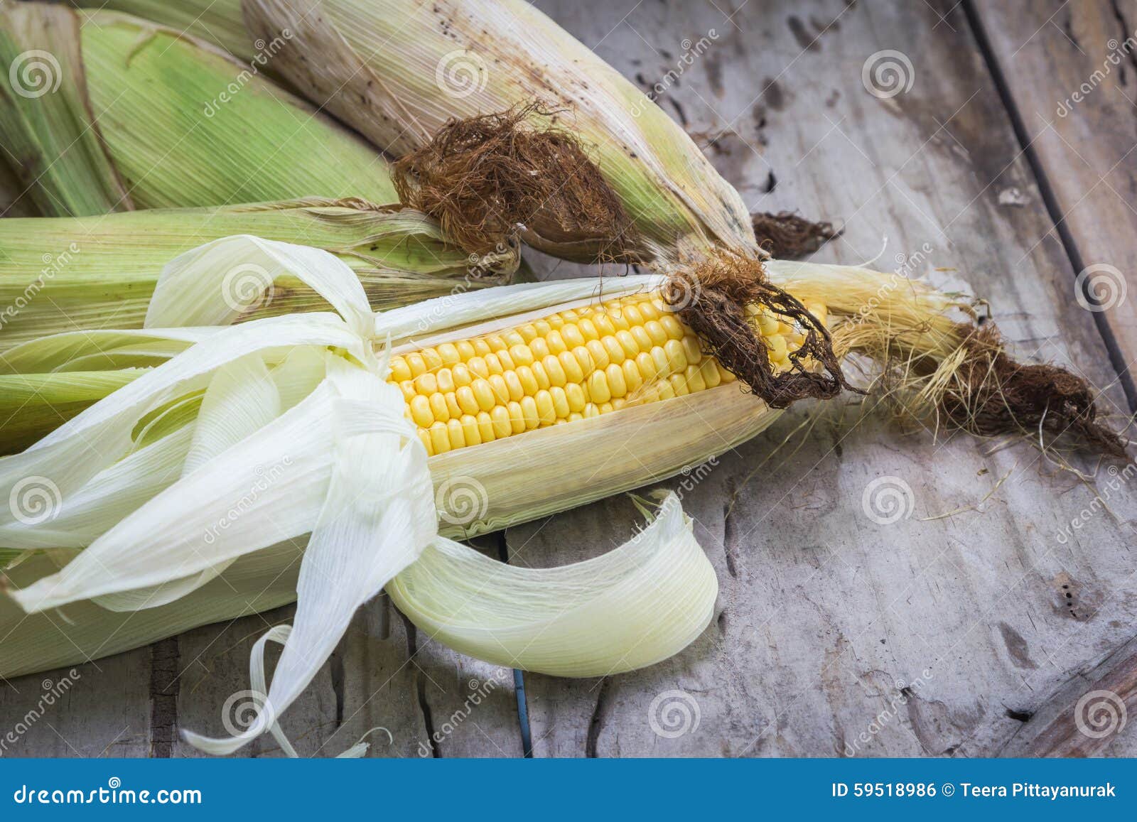Corn stock photo. Image of traditional, diet, ingredient - 59518986