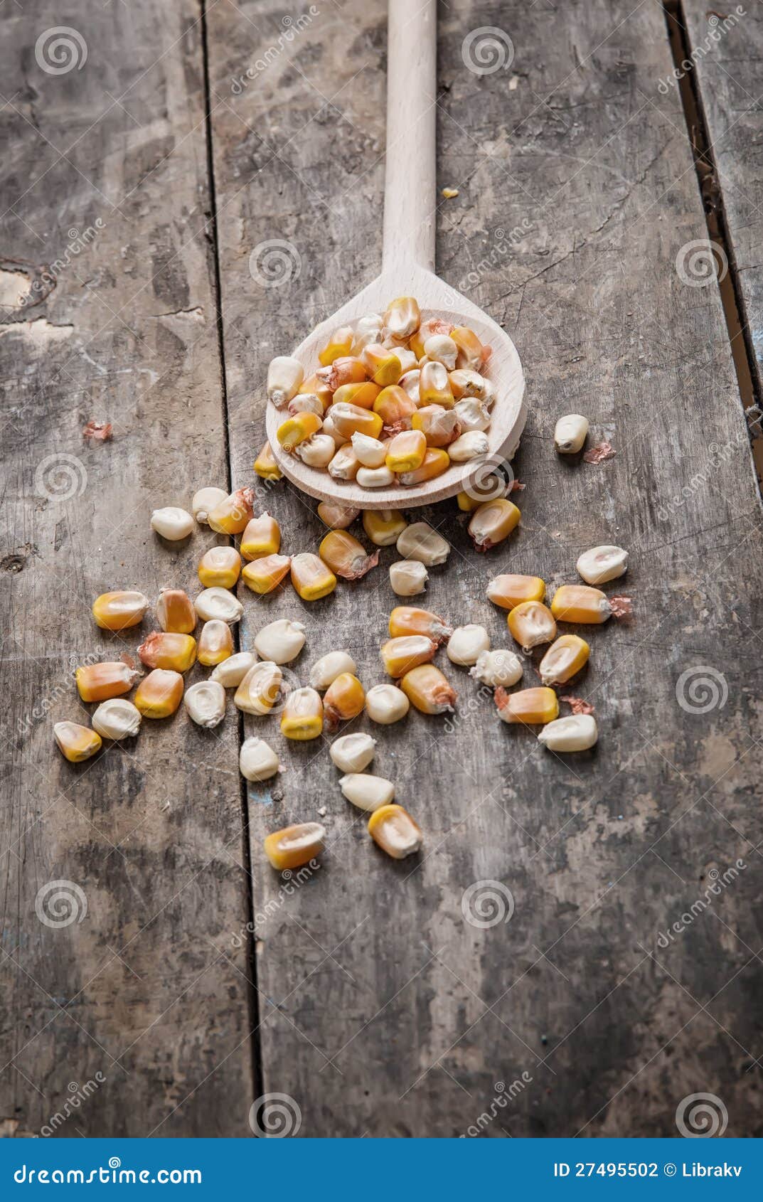 Corn on a wooden spoon stock photo. Image of corn, spoon - 27495502