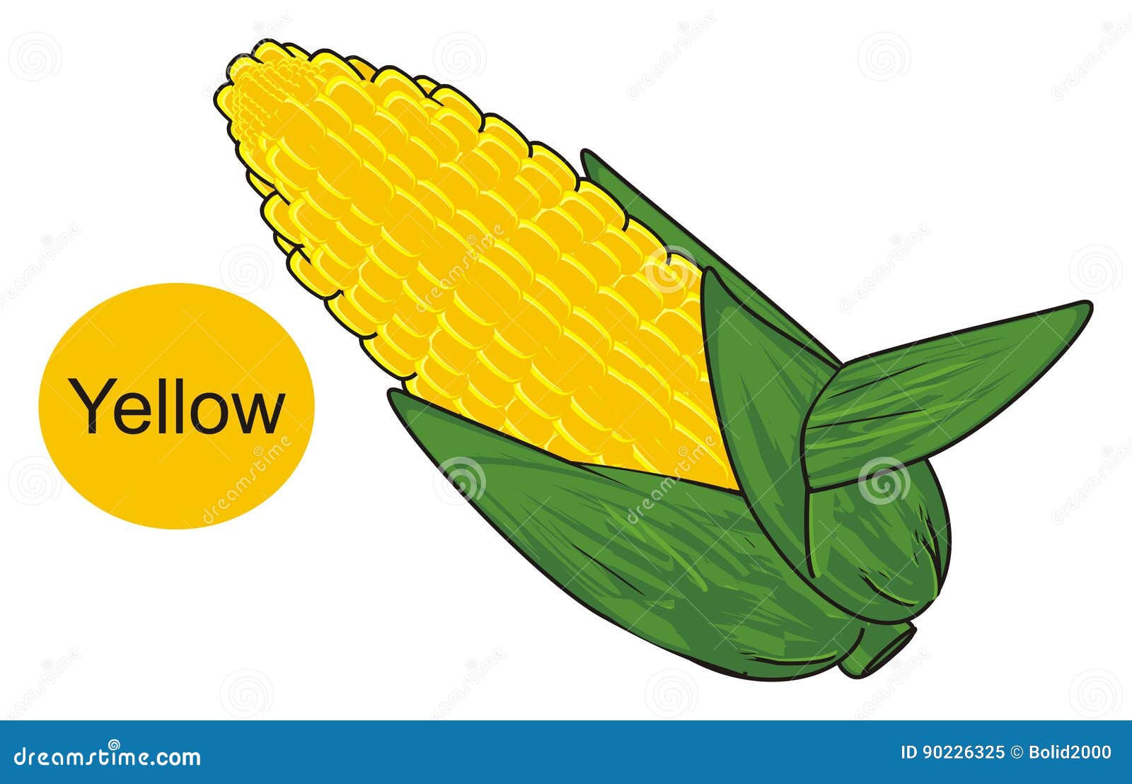 Corn is yellow stock illustration. Illustration of field - 90226325