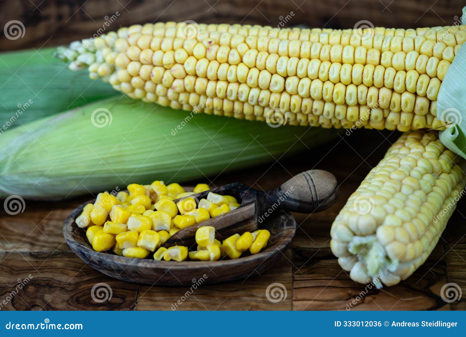 Corn Zea mays stock photo. Image of fresh, freshness - 333012036