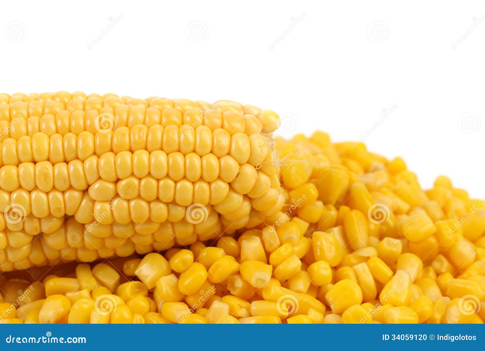 Corncob on a Bulk of Corn Grains. Stock Photo - Image of macro, nature ...