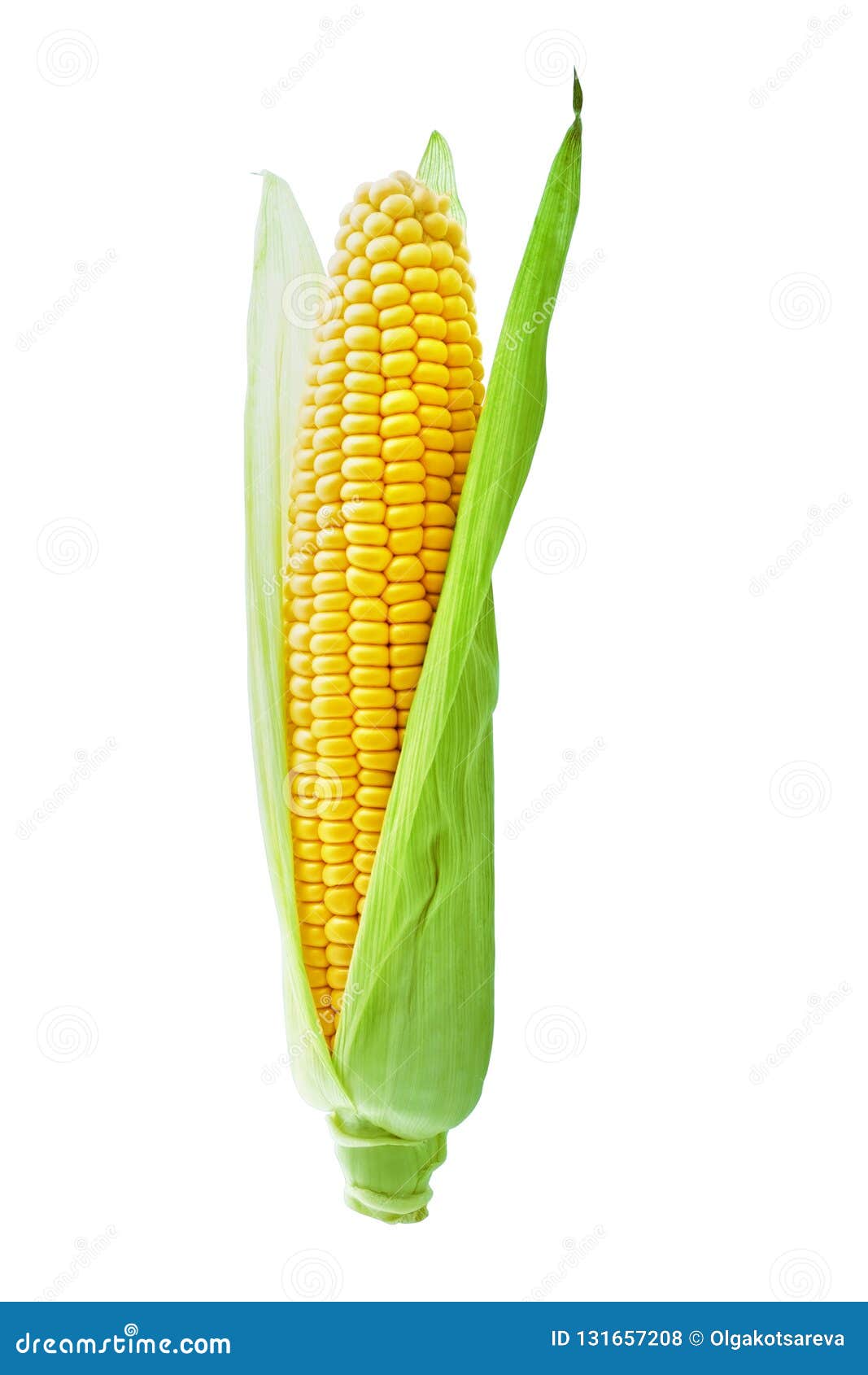 Corncob or Corn Ear with Green Fresh Leaves Isolated on White ...