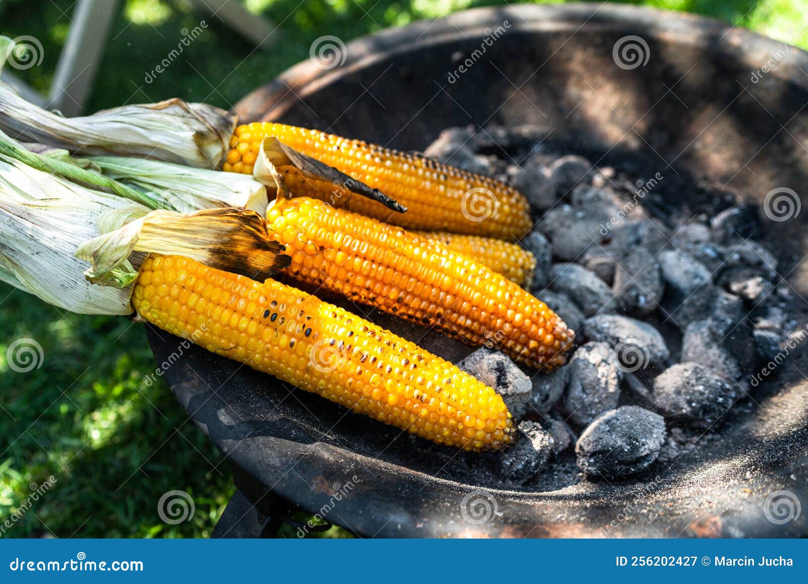 Corncob Whole Organic Corn on Grill Stock Image - Image of fire, food ...