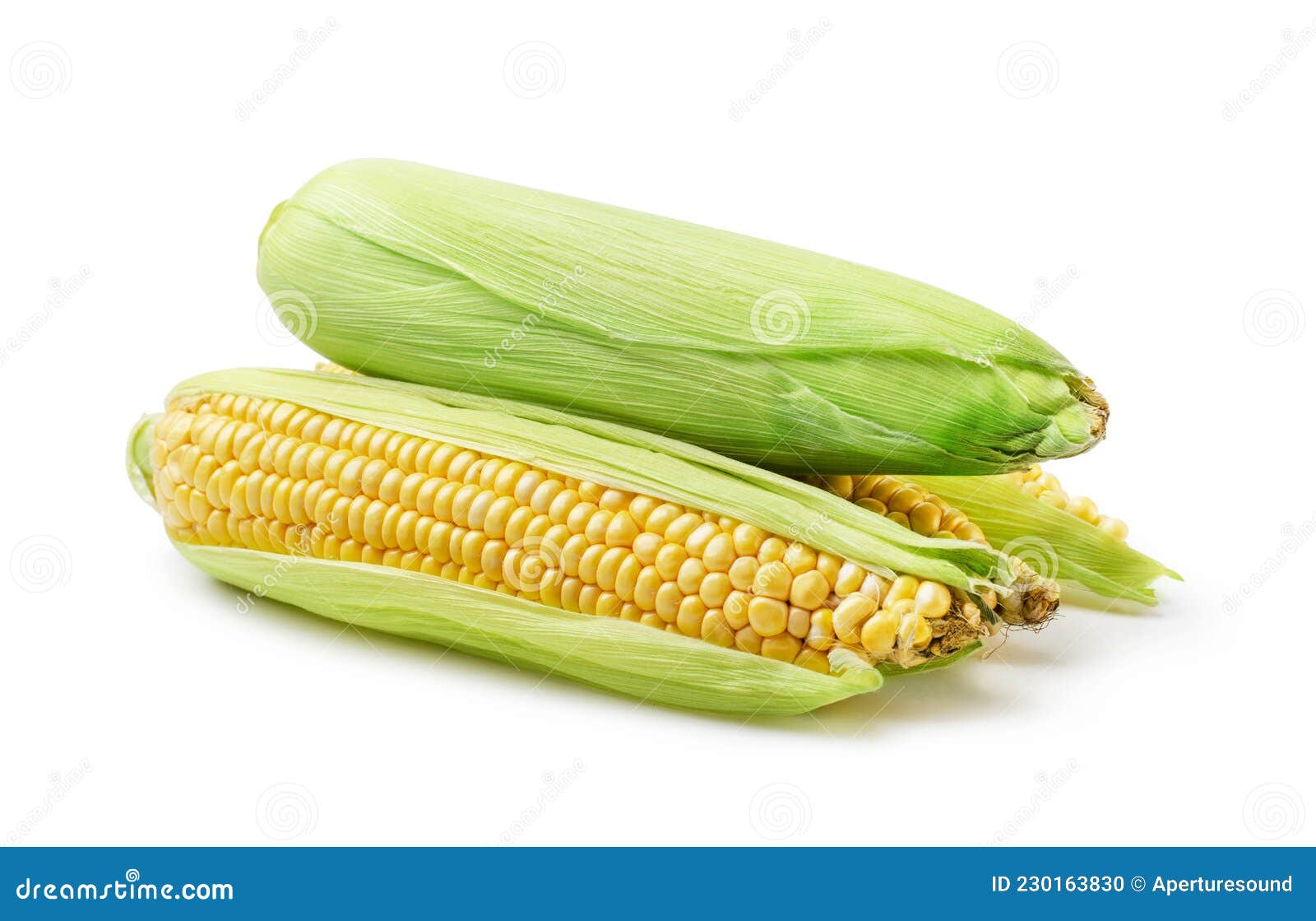Corncobs or Corn Ears Isolated Stock Photo - Image of diet, corncob ...