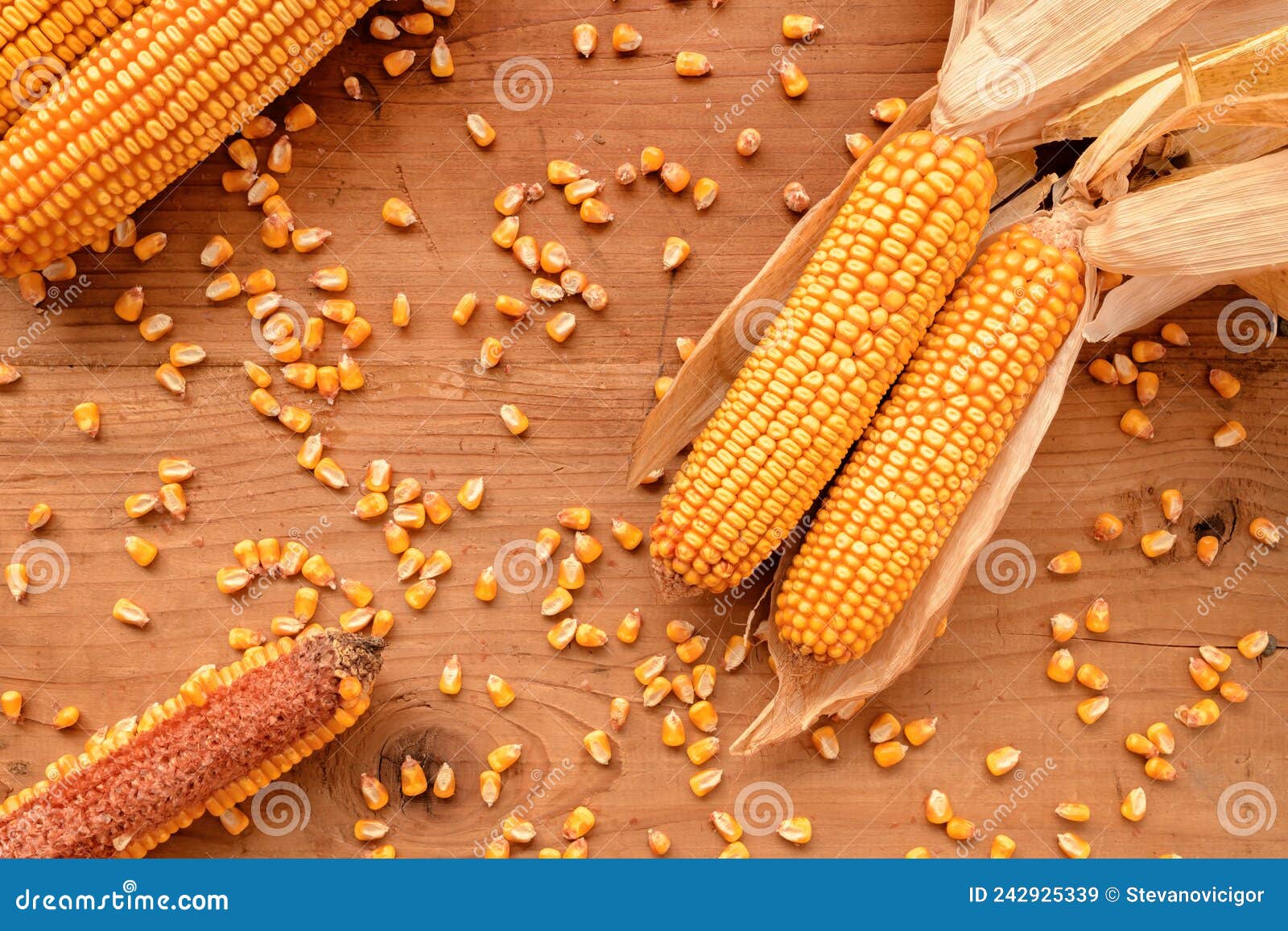 Corncobs and Grain on Rustic Wooden Background, Top View of Harvested ...