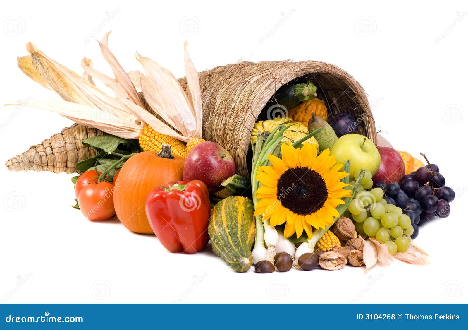 Corne d'abondance photo stock. Image du santé, moisson - 3104268