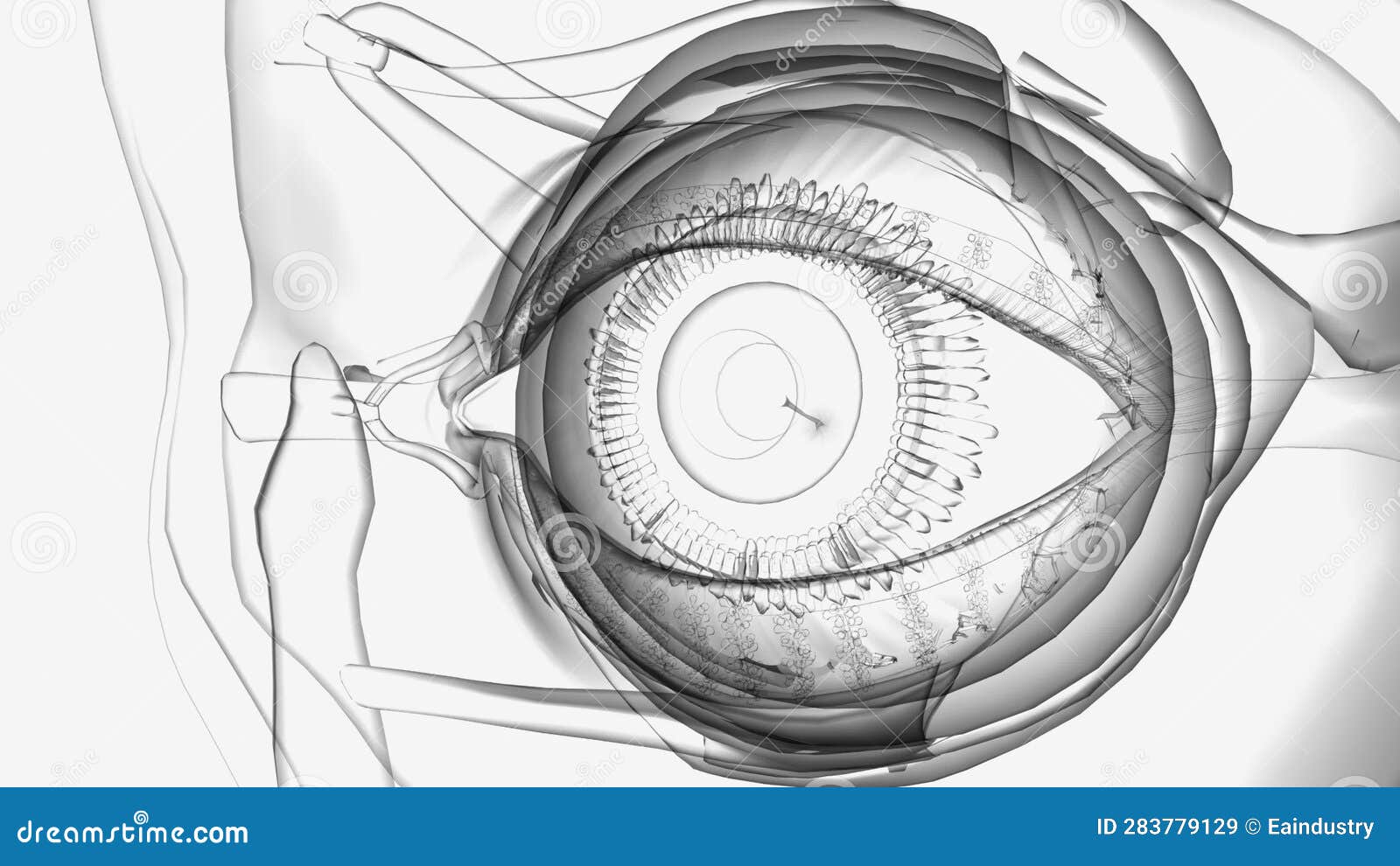 The Cornea is the Transparent Part of the Eye that Covers the Front ...