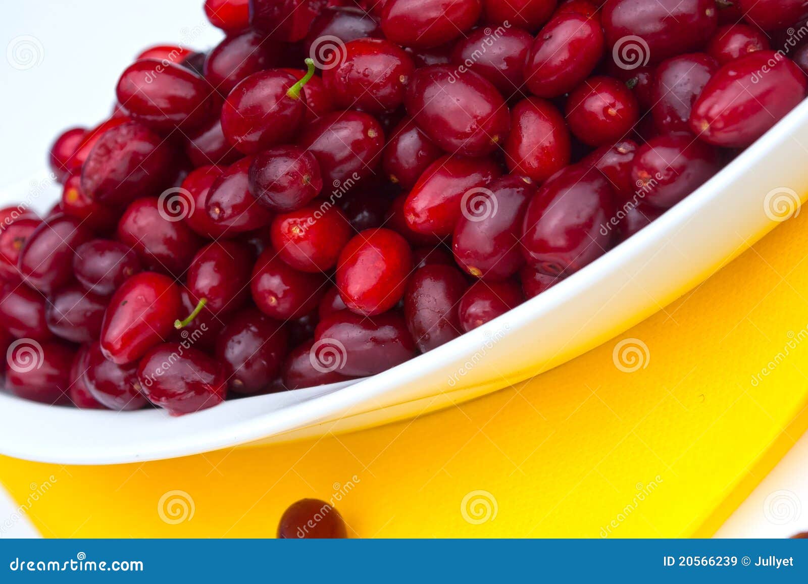 Cornel stock image. Image of berry, natural, vegetarian - 20566239