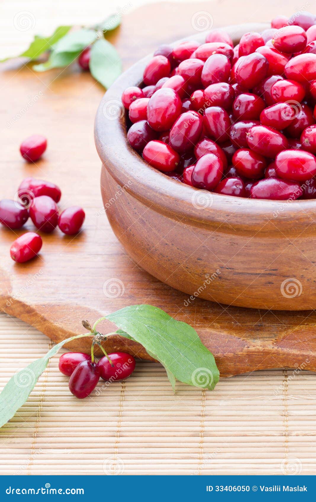 Cornel berries stock photo. Image of fruit, cornelian - 33406050