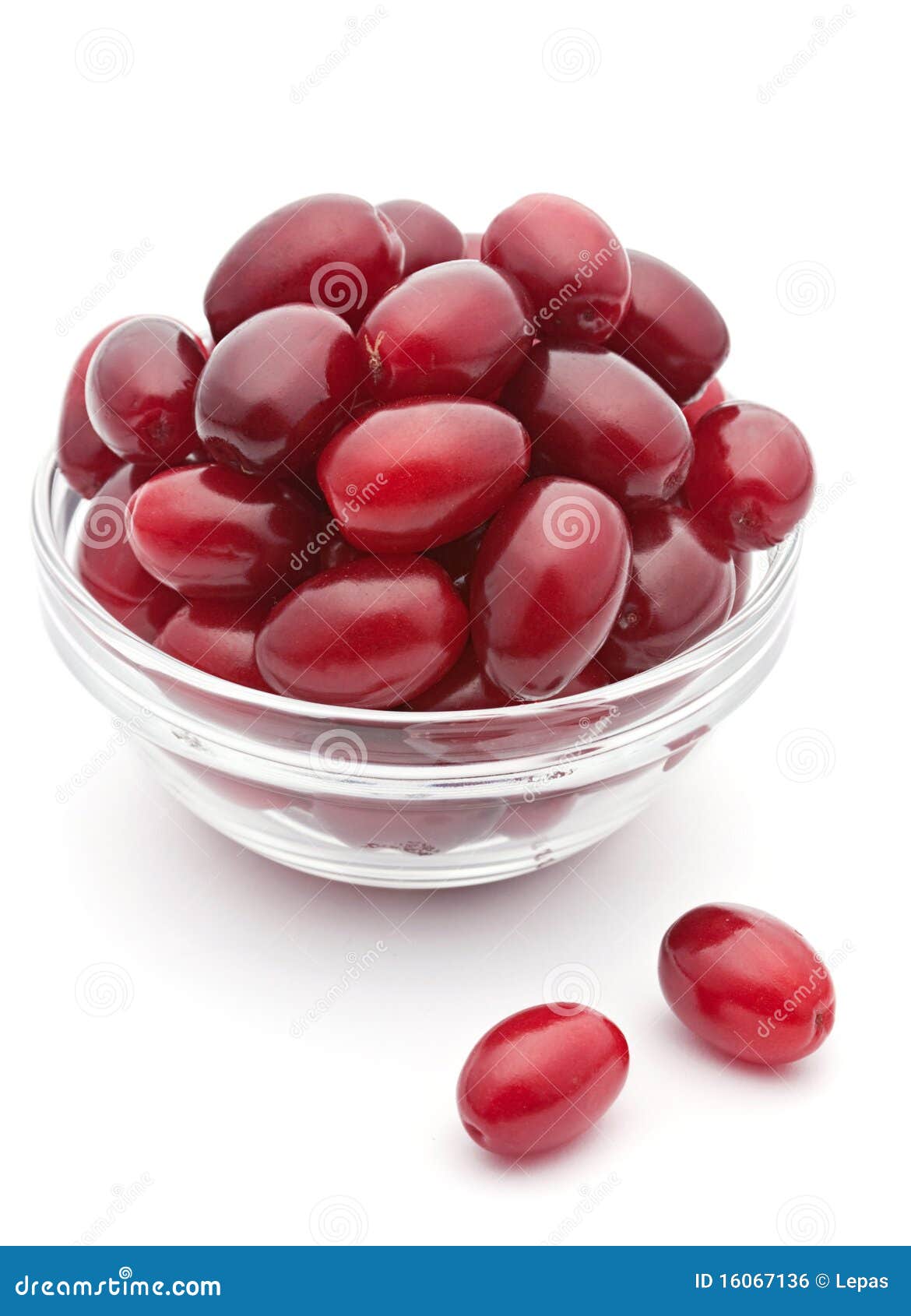 Cornel berry stock photo. Image of plate, closeup, cornel - 16067136