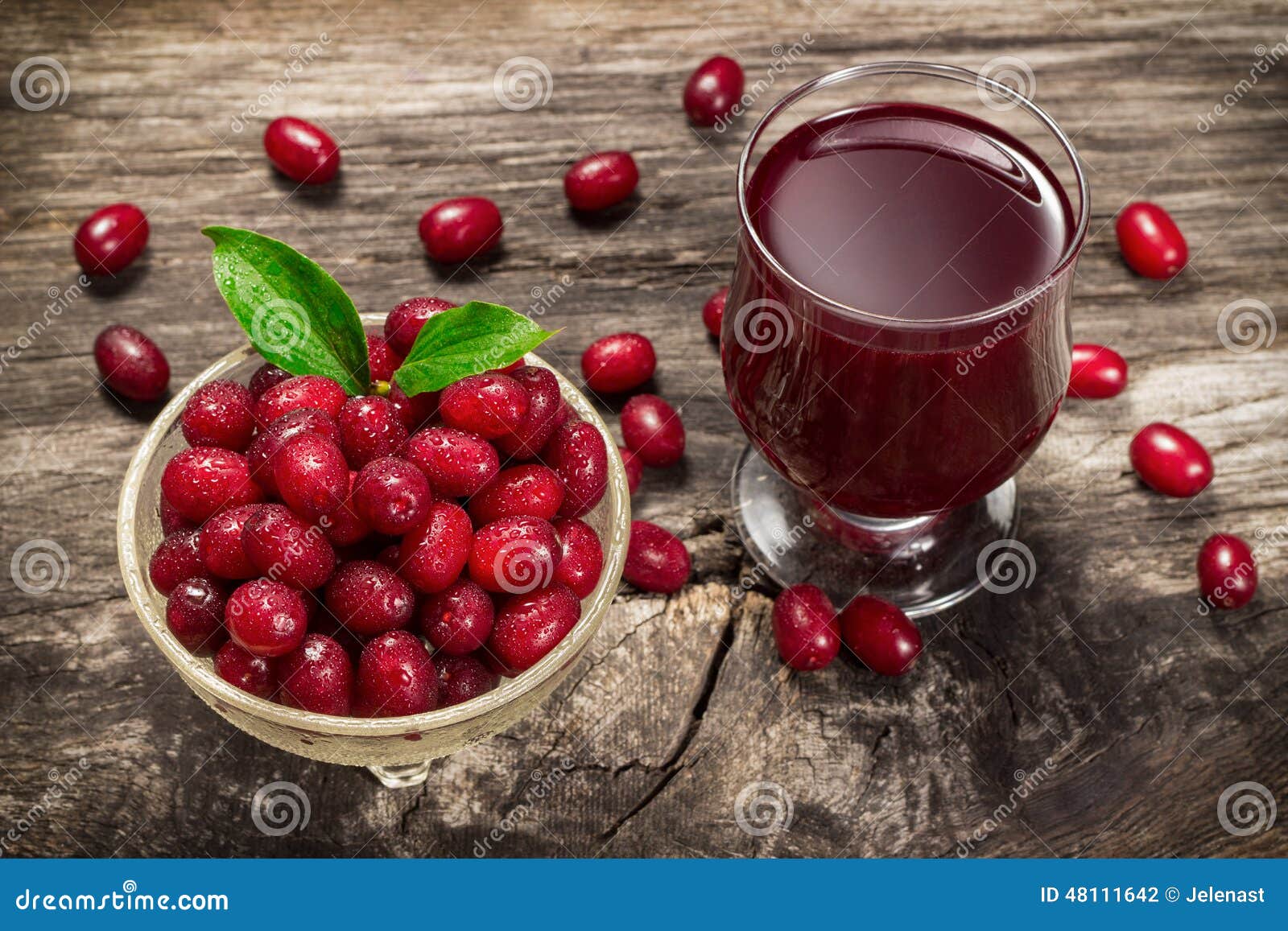 Cornel berry juice stock photo. Image of leaf, plants - 48111642