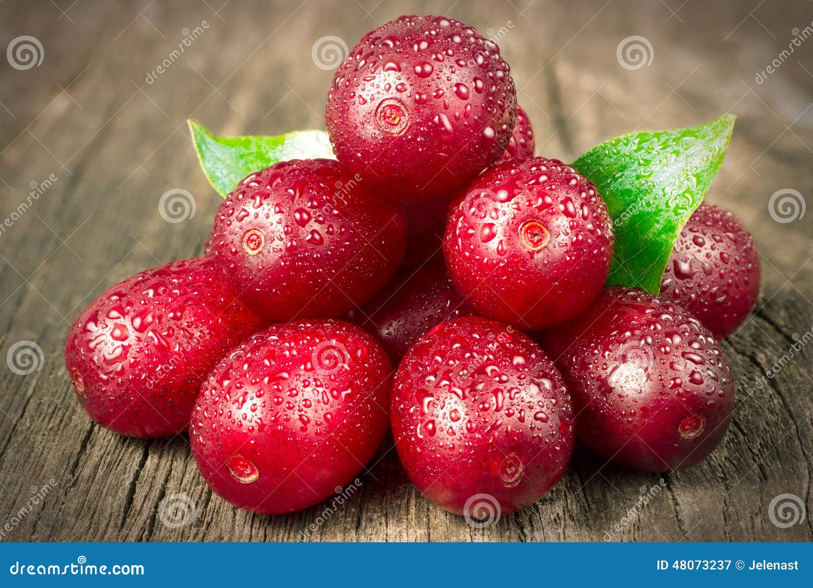 Cornel Berry with Water Drops Stock Image - Image of healt, fruit: 48073237