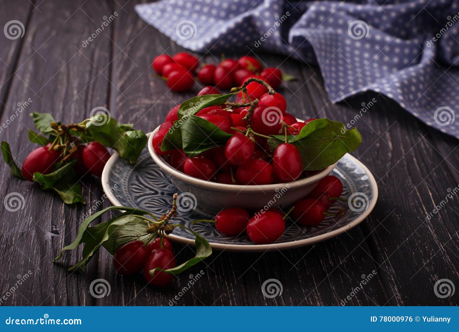 Cornel or dogwood berry stock photo. Image of acerb, cornelian - 78000976