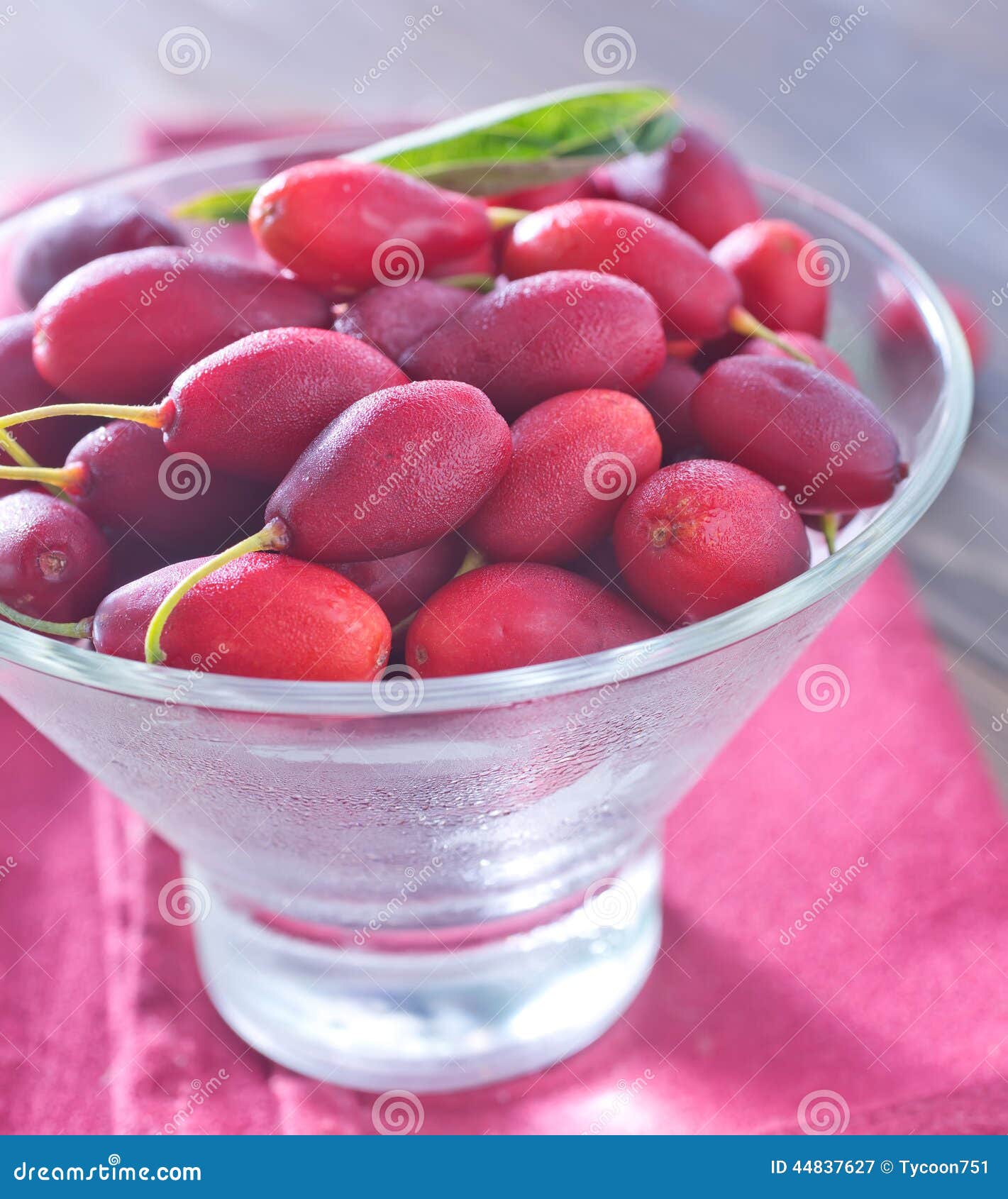 Cornel stock image. Image of gardening, berry, background - 44837627