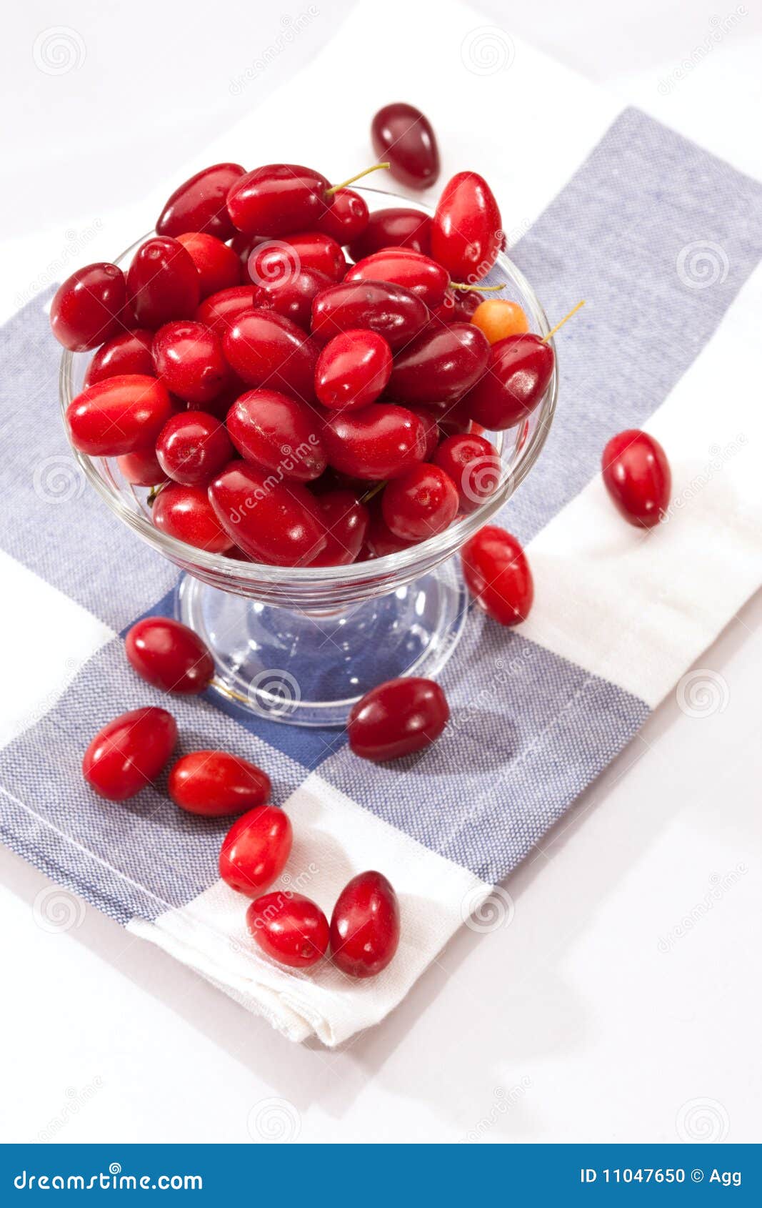 Cornelian cherries stock photo. Image of cherries, food - 11047650