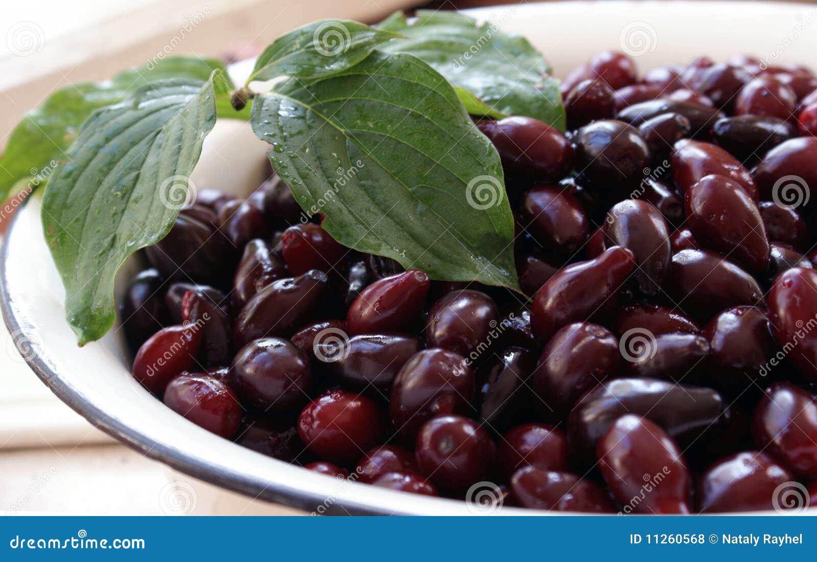 Cornelian cherries stock photo. Image of ware, berry - 11260568