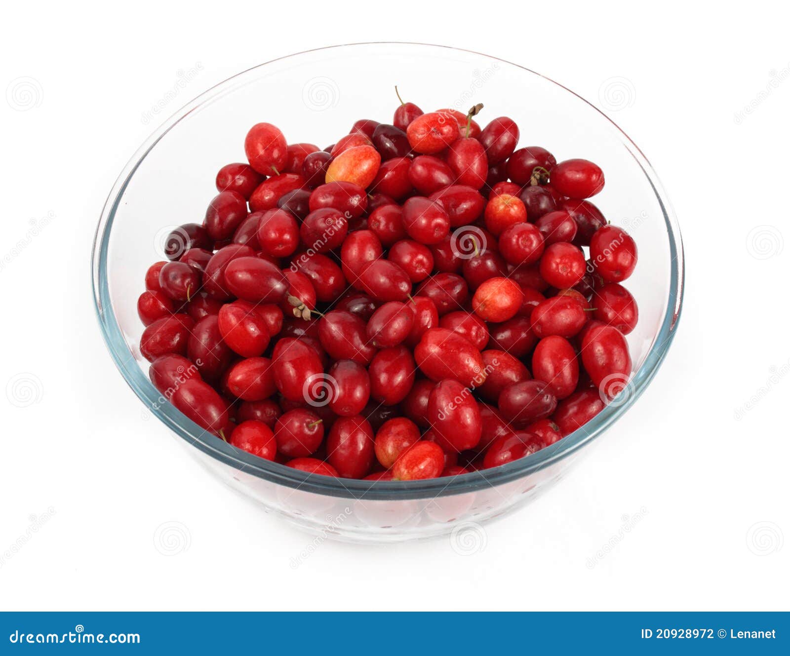 Cornelian cherries stock photo. Image of dogberry, close - 20928972