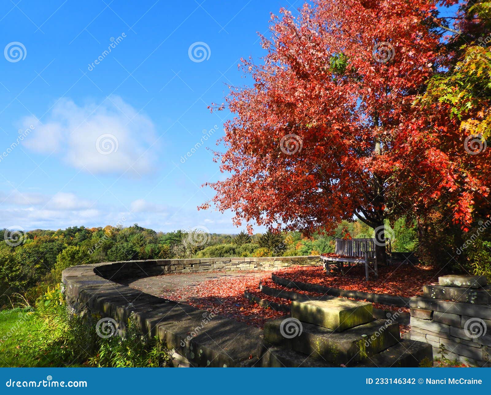 Cornell Botanic Garden Overlook in Fall Under Blue Sky Stock Photo ...