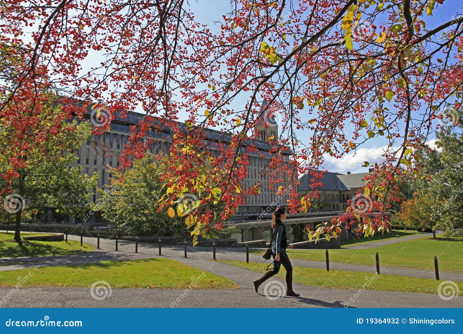 Cornell University Campus in Ithaca Editorial Photography - Image of ...