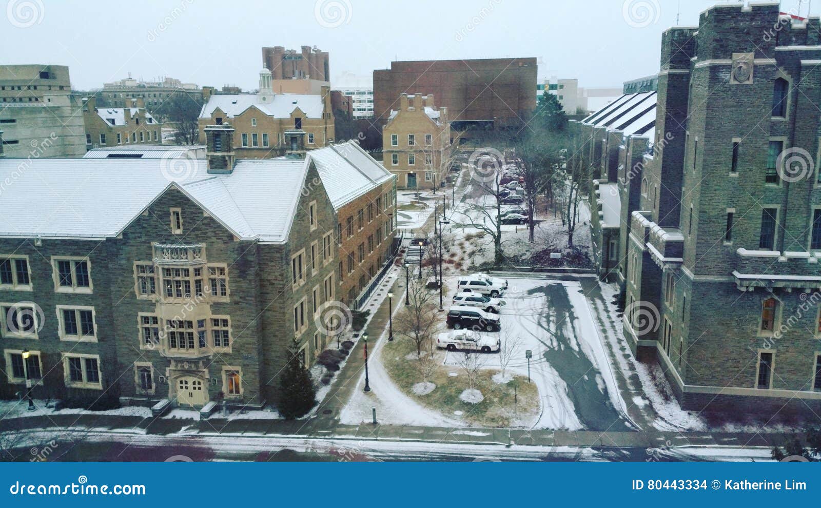 Cornell university stock photo. Image of cornell, snowing - 80443334