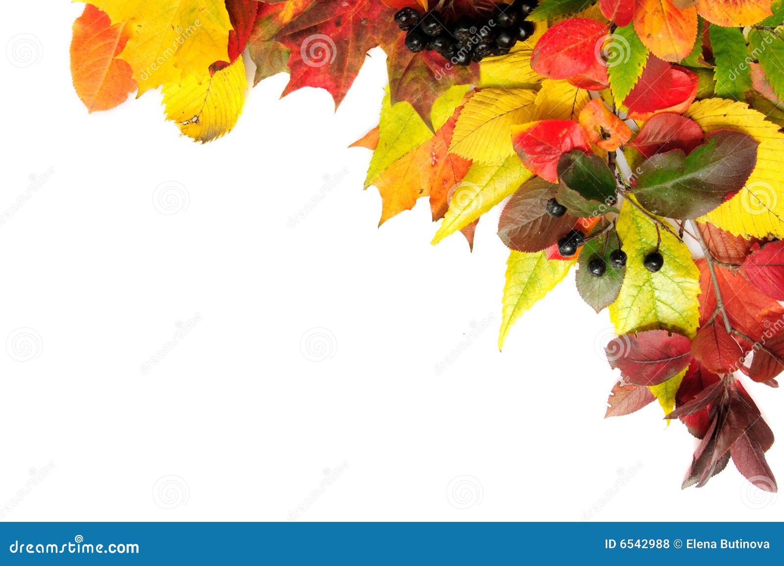 Corner From Autumn Leaves Royalty Free Stock Photos - Image: 6542988