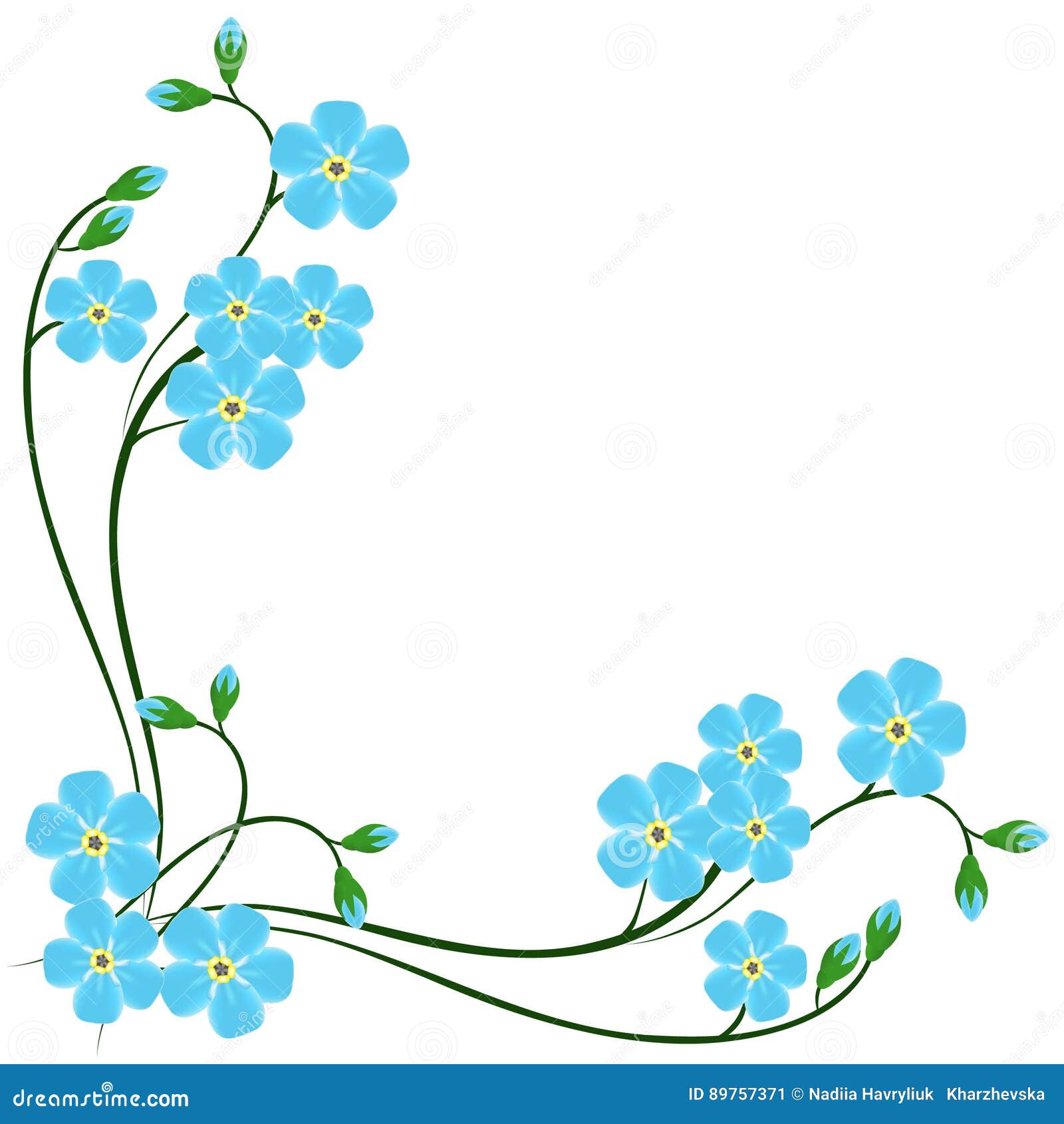 Forget Me Not Background
