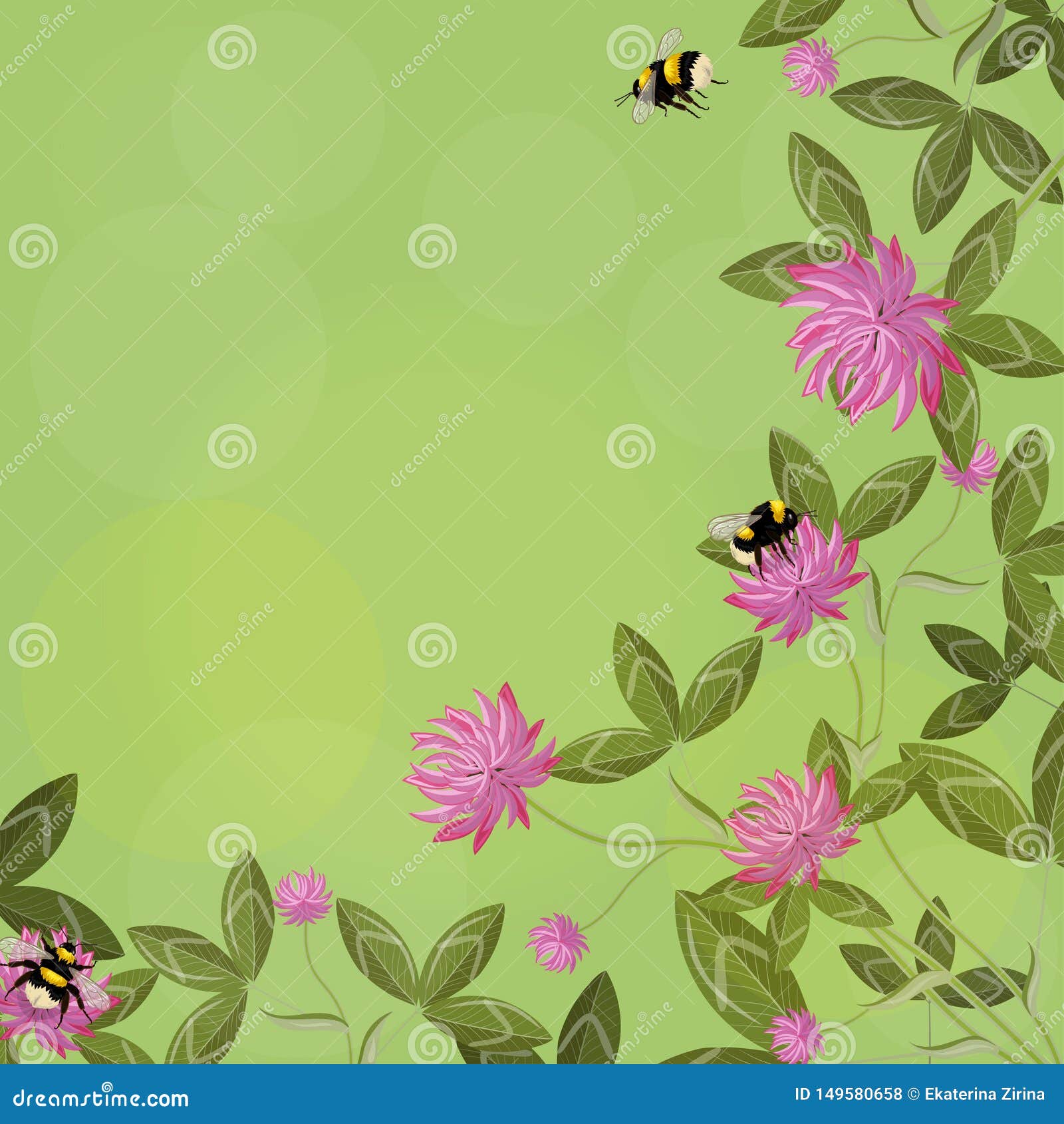Corner Border of Clover Leaves, Flowers and Bumblebees, Empty Floral ...