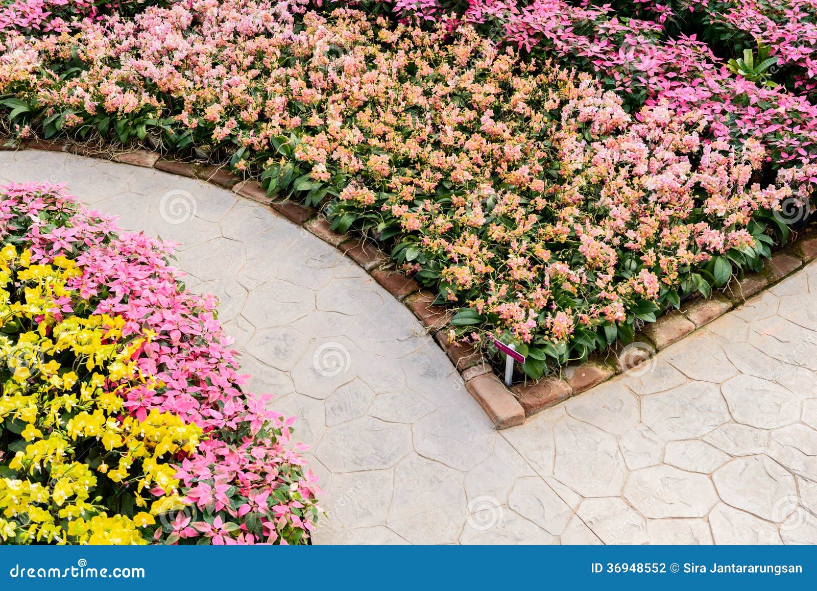 Corner of Botanic Garden with Flowers Stock Photo - Image of botanic ...