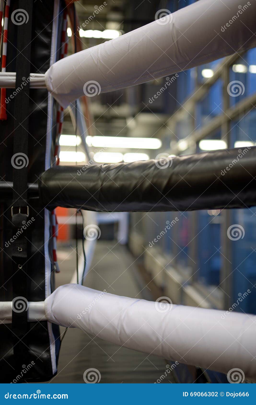 Corner of a boxing ring stock photo. Image of expectation - 69066302