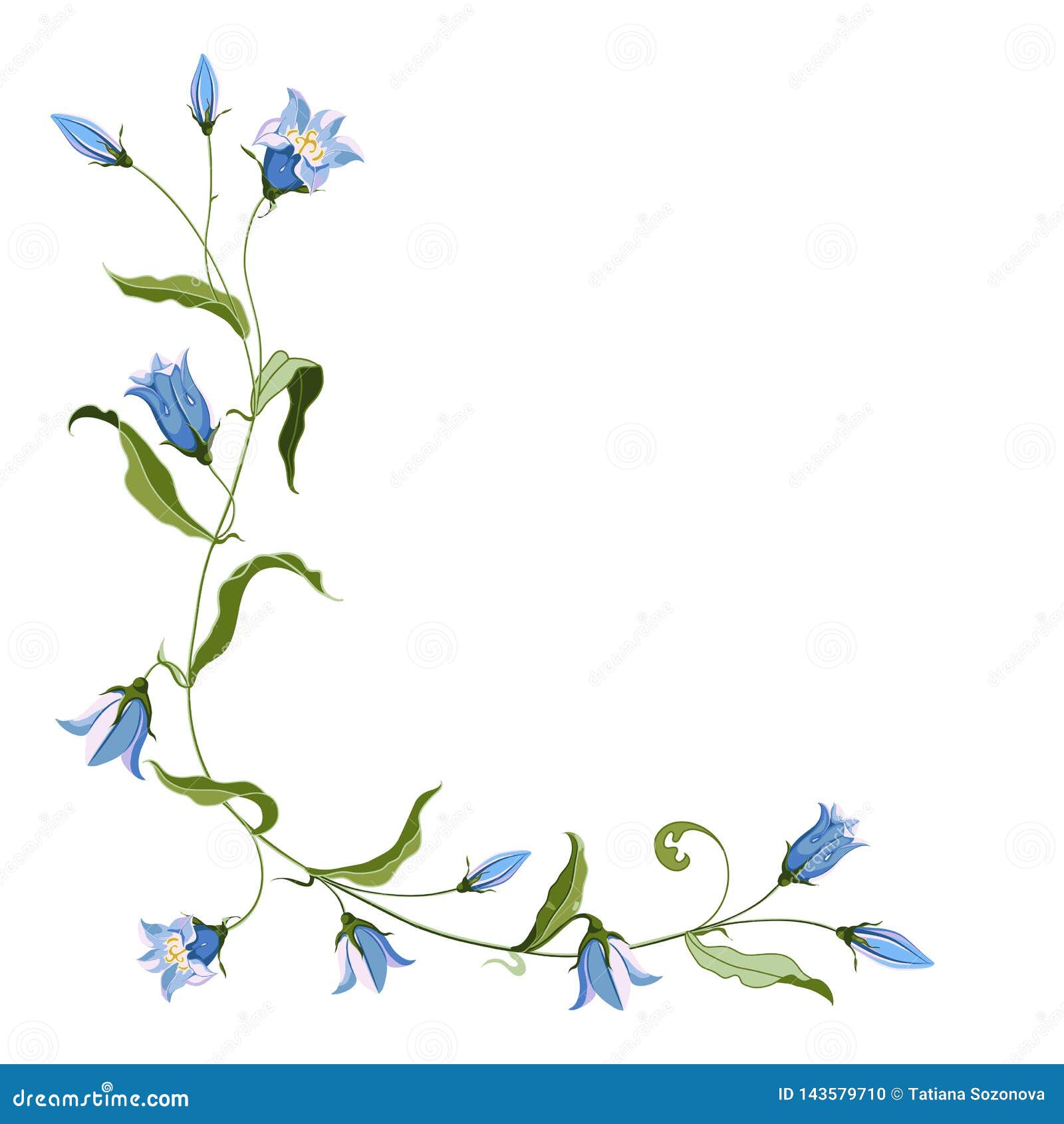 Corner Composition of Hand Drawn Blue Bell Flower for Design Stock ...