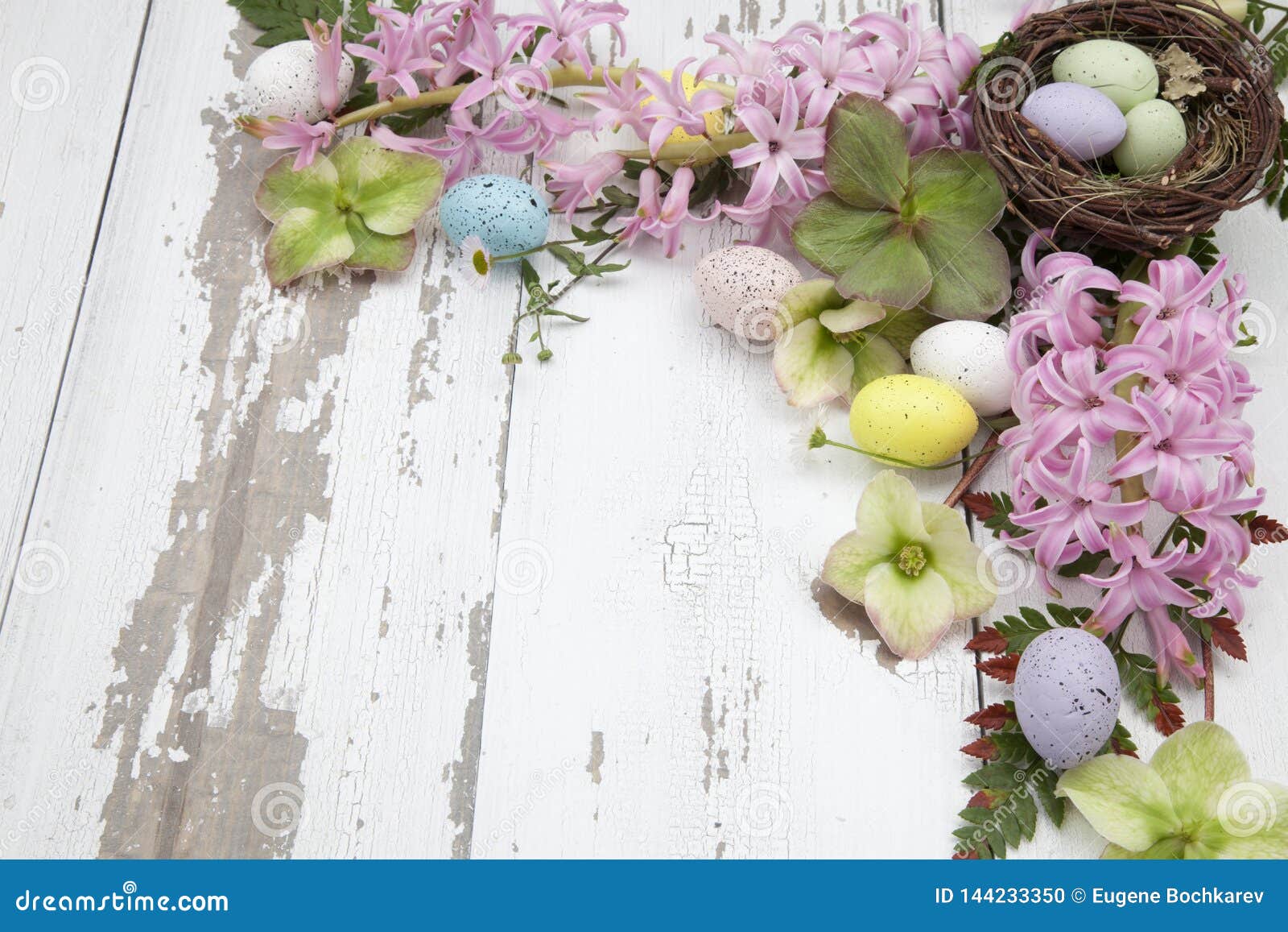 Corner Floral Frame Easter Theme Stock Photo - Image of easter, bird ...