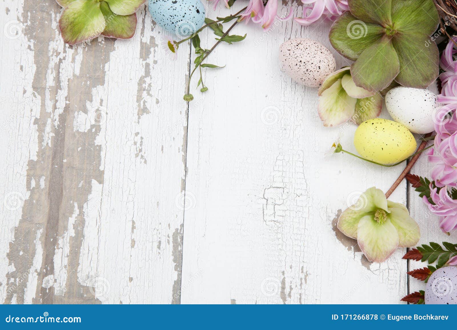 Corner Floral Frame Easter Theme Stock Photo - Image of easter, plants ...