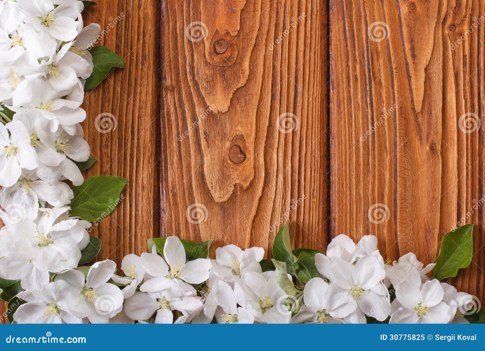 Corner Floral Frame from Flowers Apple Tree on a Wooden Stock Image ...