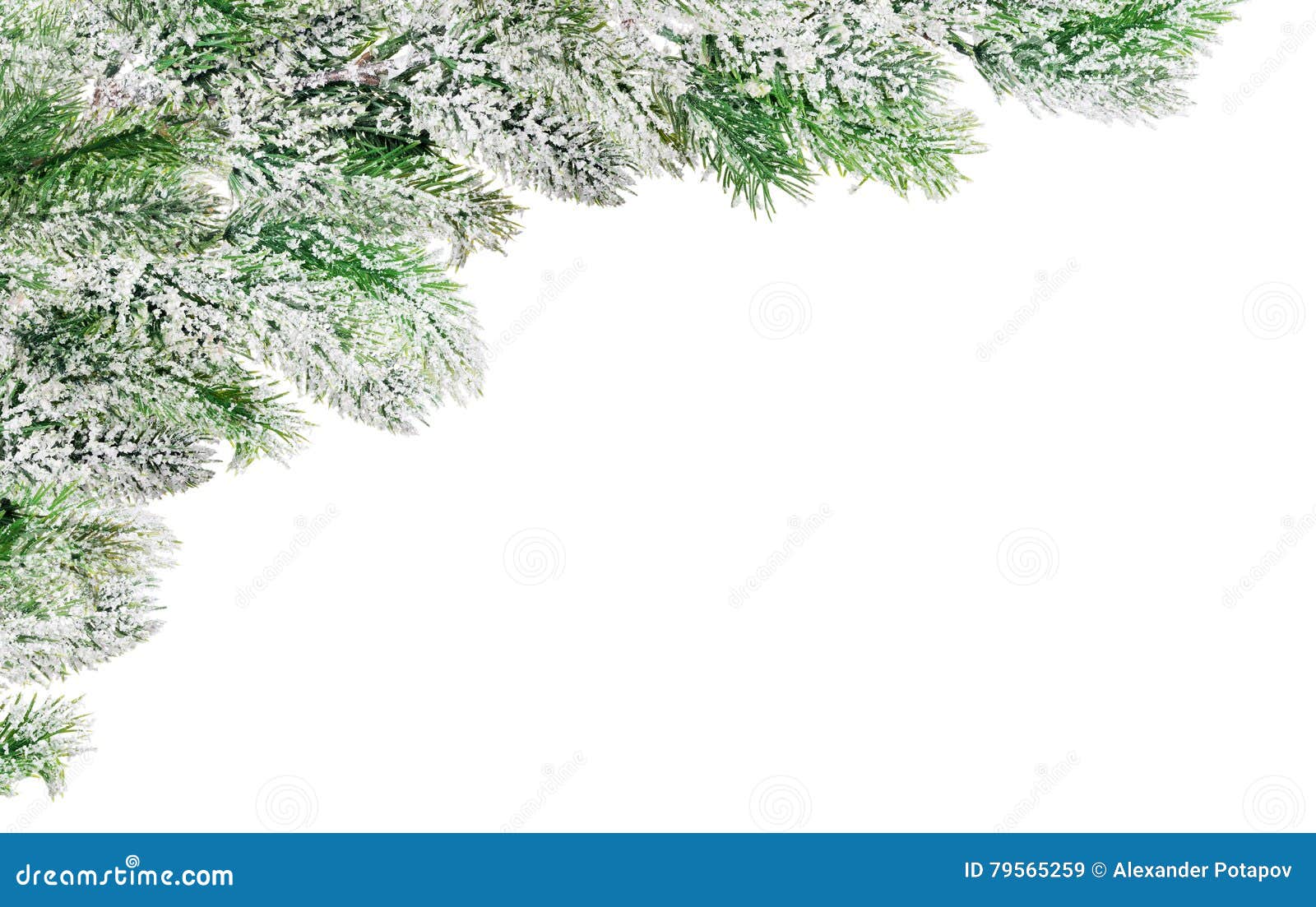 Corner from Green Pine Branches in Snow Stock Image - Image of corner ...