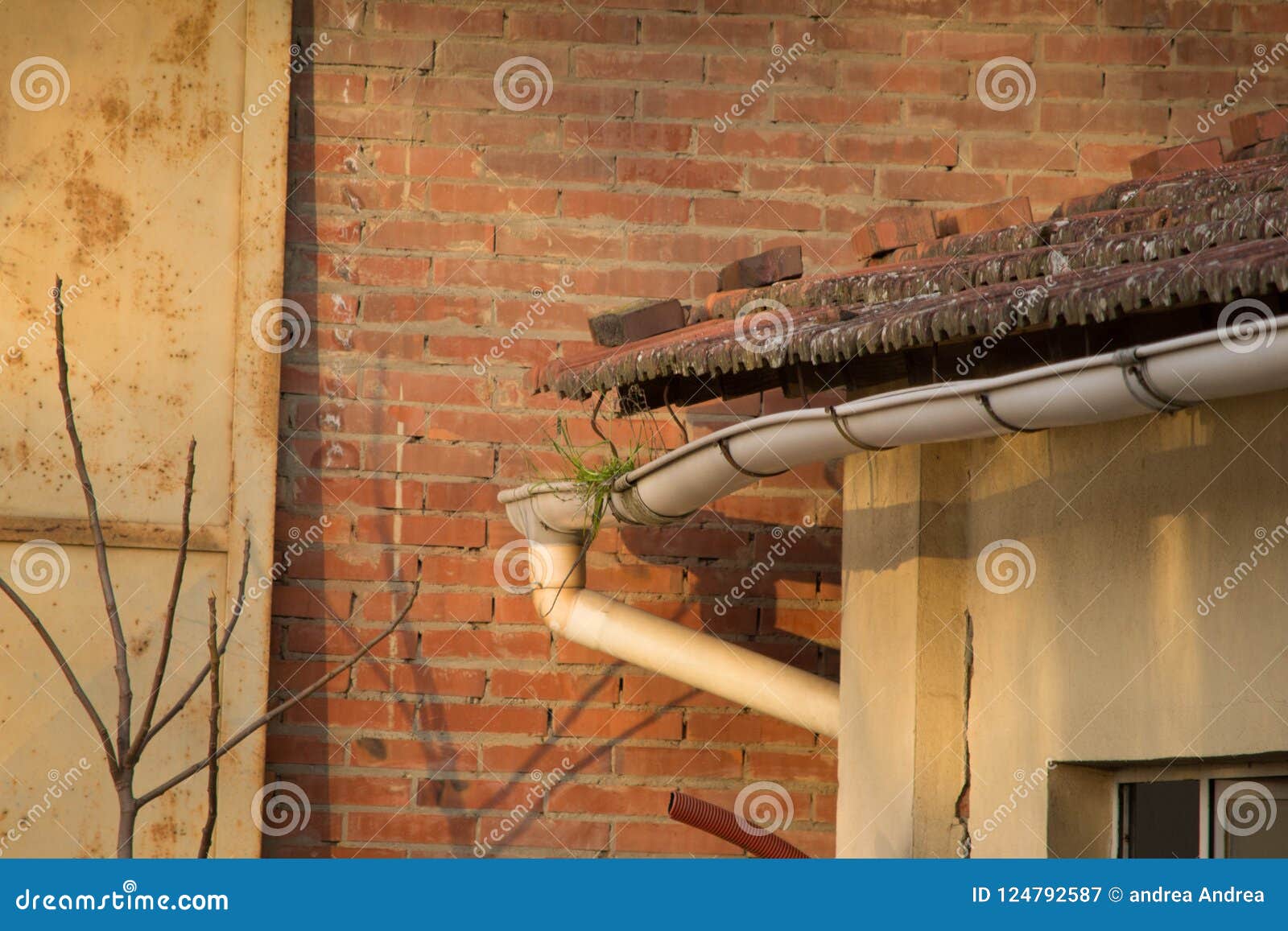 Gutter Detached from the Roof with Grass Stock Image - Image of tree ...