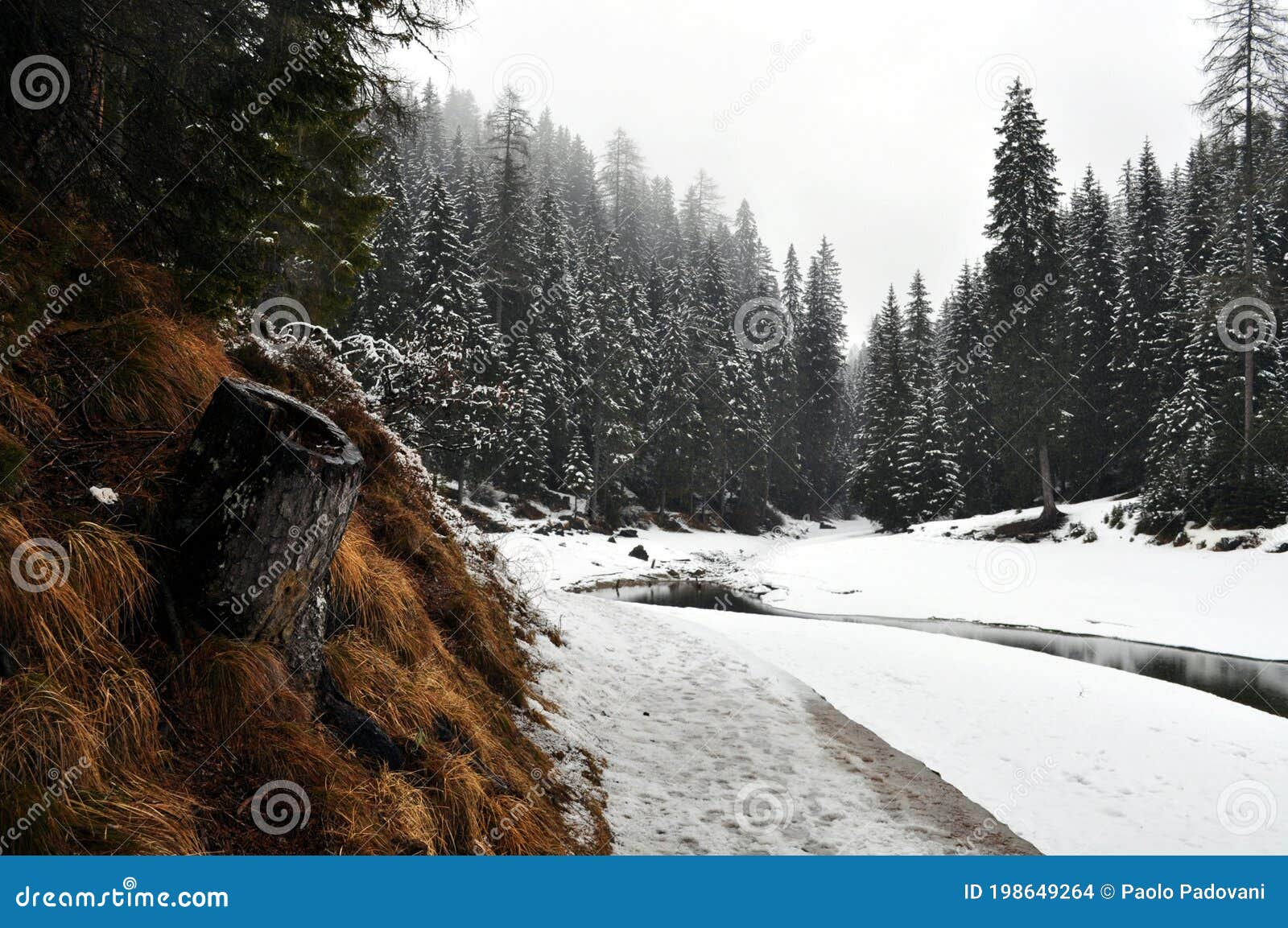 Winter Corner Border With Snowy Branches And White Christmas Baubles On ...