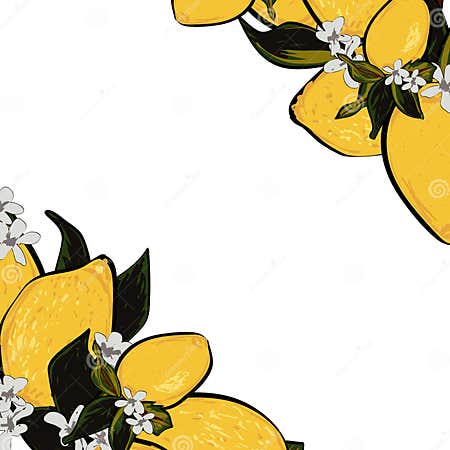 Corner lemon template stock vector. Illustration of decorative - 72147879