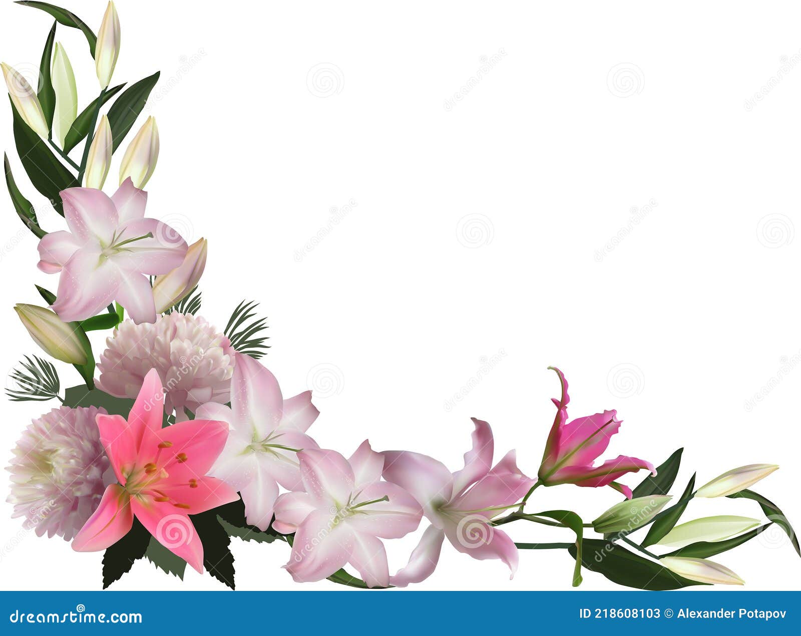 Corner from Light Pink Lily Flowers on White Stock Vector ...