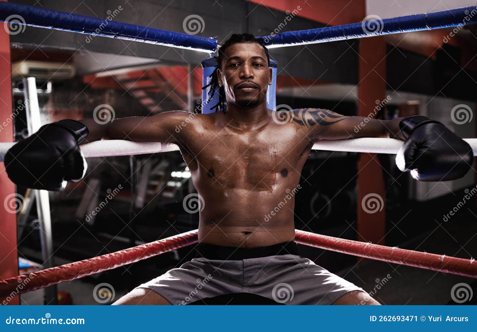 And in this Corner... . a Muscular Ethnic Boxer Sitting in the Corner ...